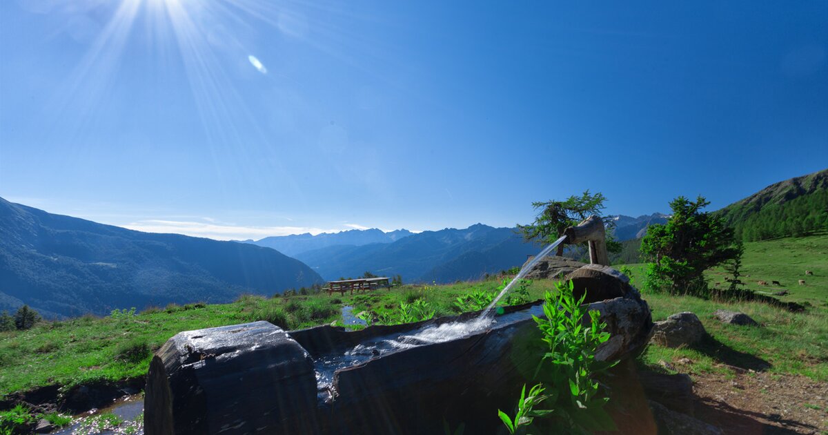 Richiesta Info Consorzio Turistico Pejo 3000 s.r.l.