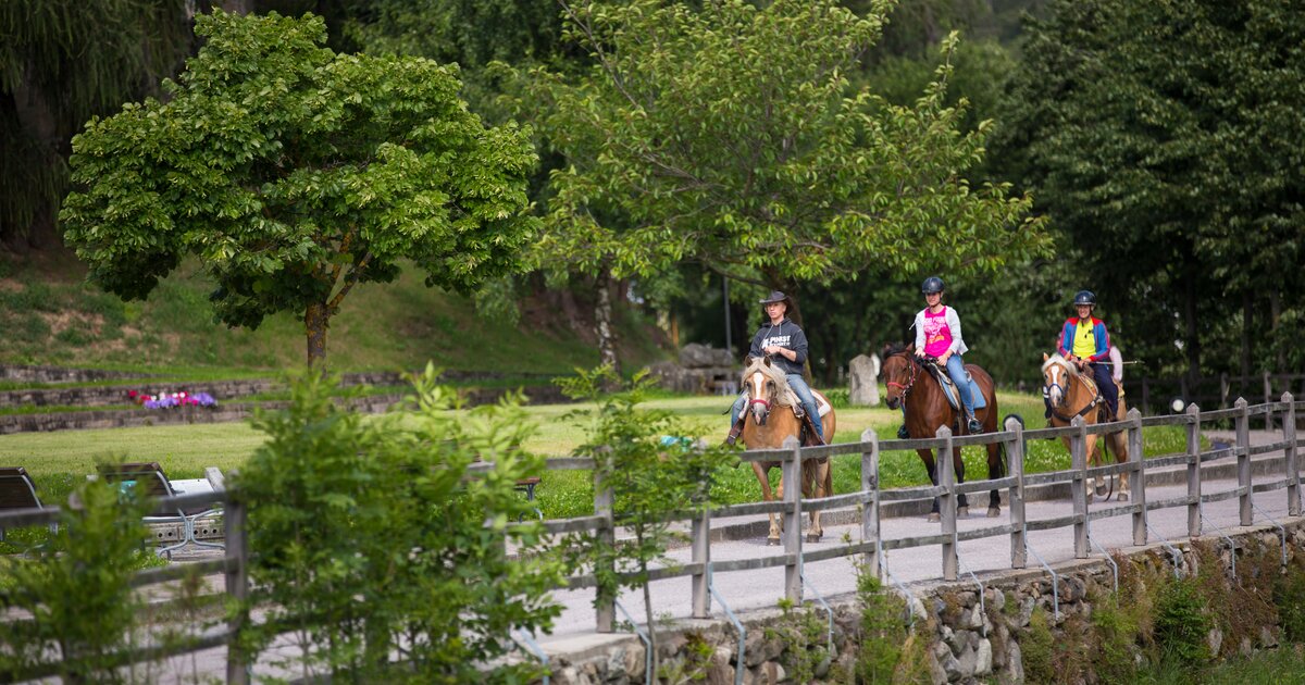 Horseback riding centres in Val di Sole Trentino